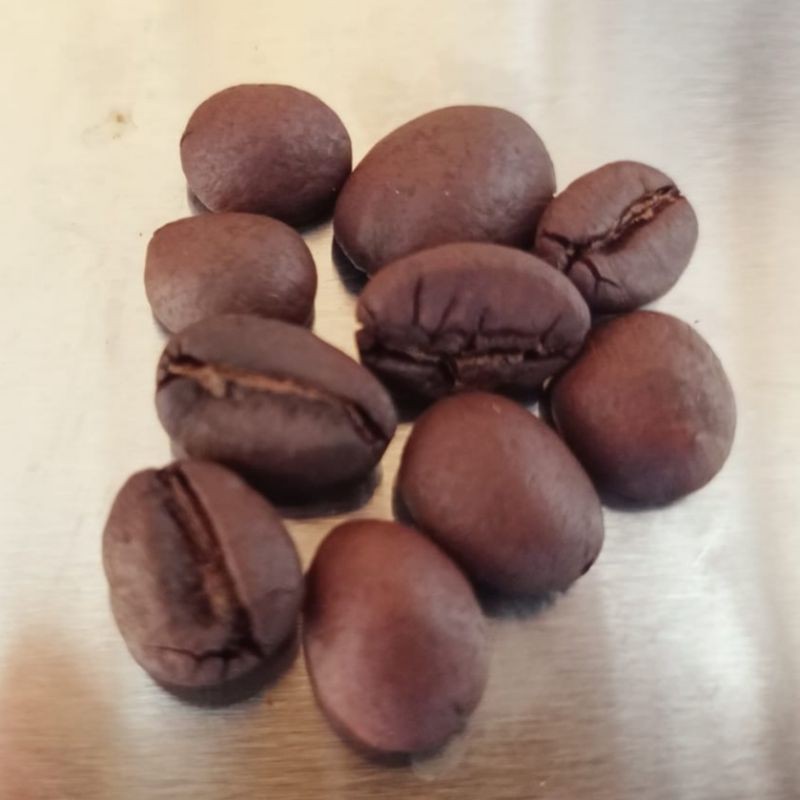 Jual Kopi Bengkulu Kopi Dangau Datuk Robusta Roasted Medium Dark 100% ...