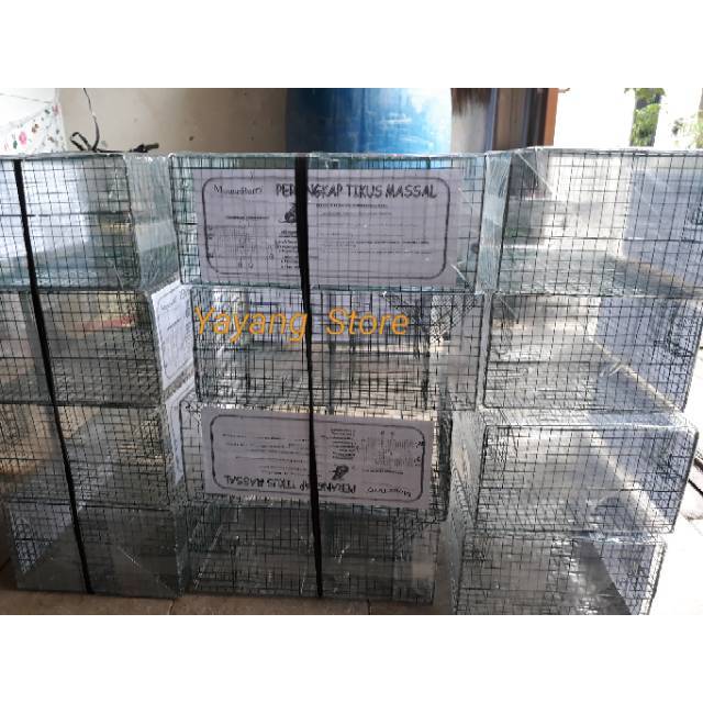 Jual JUMBO Perangkap Tikus Massal / Jebakan Tikus / Kandang tikus besar ...