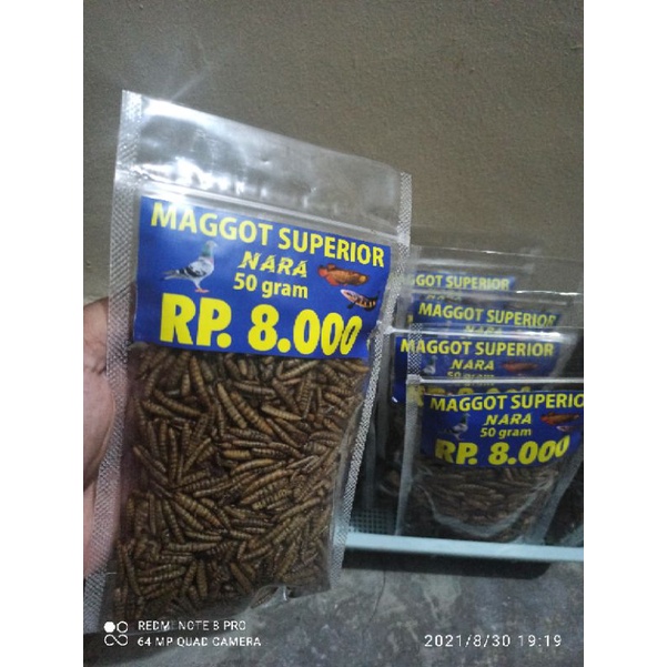 Jual PROMO MAGOT MAGGOT KERING SUPERIOR PAKAN IKAN BELI 2 GRATIS 1 ,25 ...