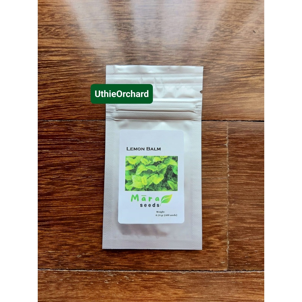 Jual Mara Seeds - Lemon Balm (400 seeds) | Shopee Indonesia