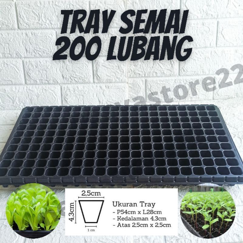 Jual Tray Trai Semai Pot Tray 4 32 50 72 98 105 128 162 200 288 Lubang ...