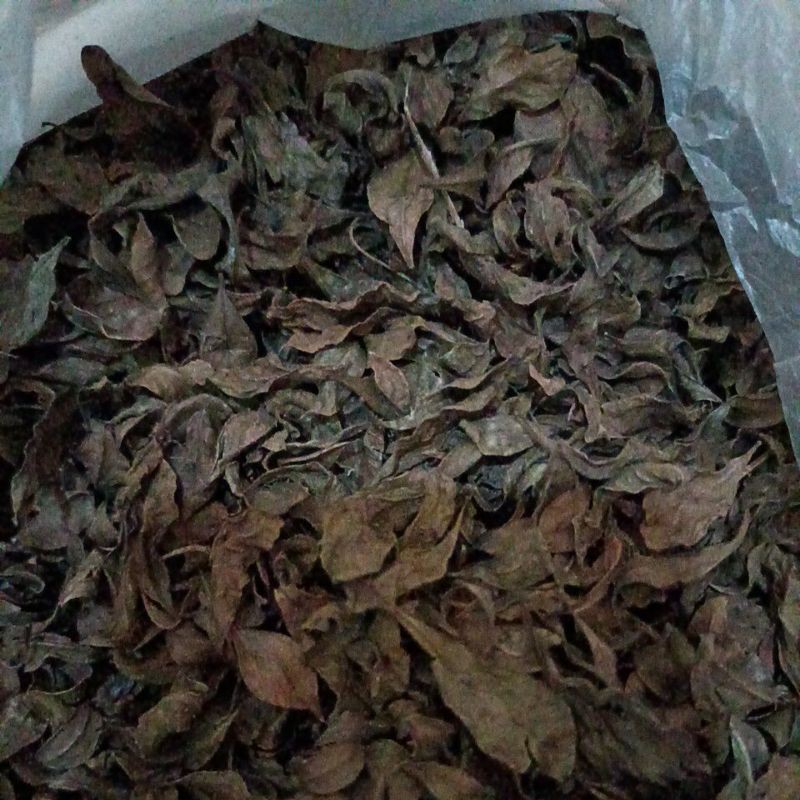 Jual promo daun henna kering pacar kuku dan rambut banyak manfaat ...