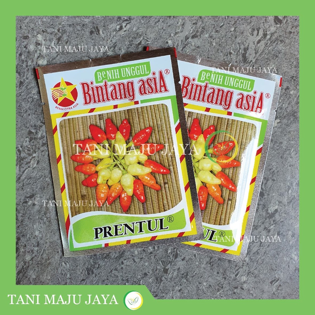Jual Benih Cabai / Cabe Prentul 10gr Bintang Asia | Shopee Indonesia