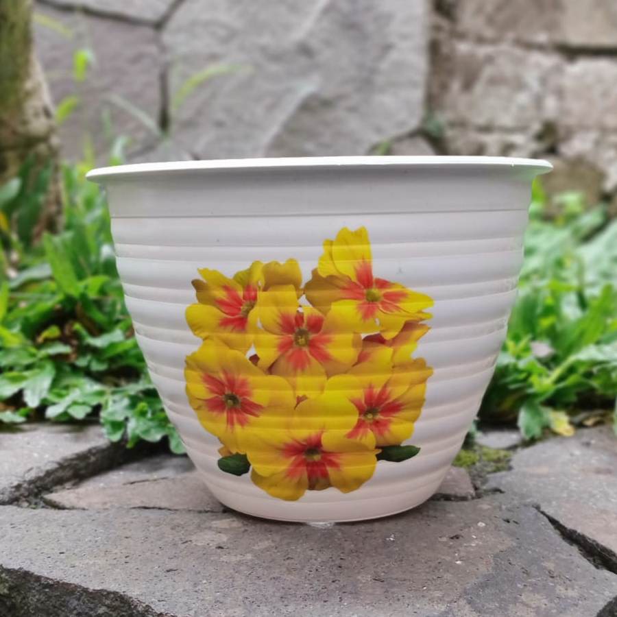 Jual Pot bunga tanaman tawon putih plastik ukuran 21 cm | Shopee Indonesia