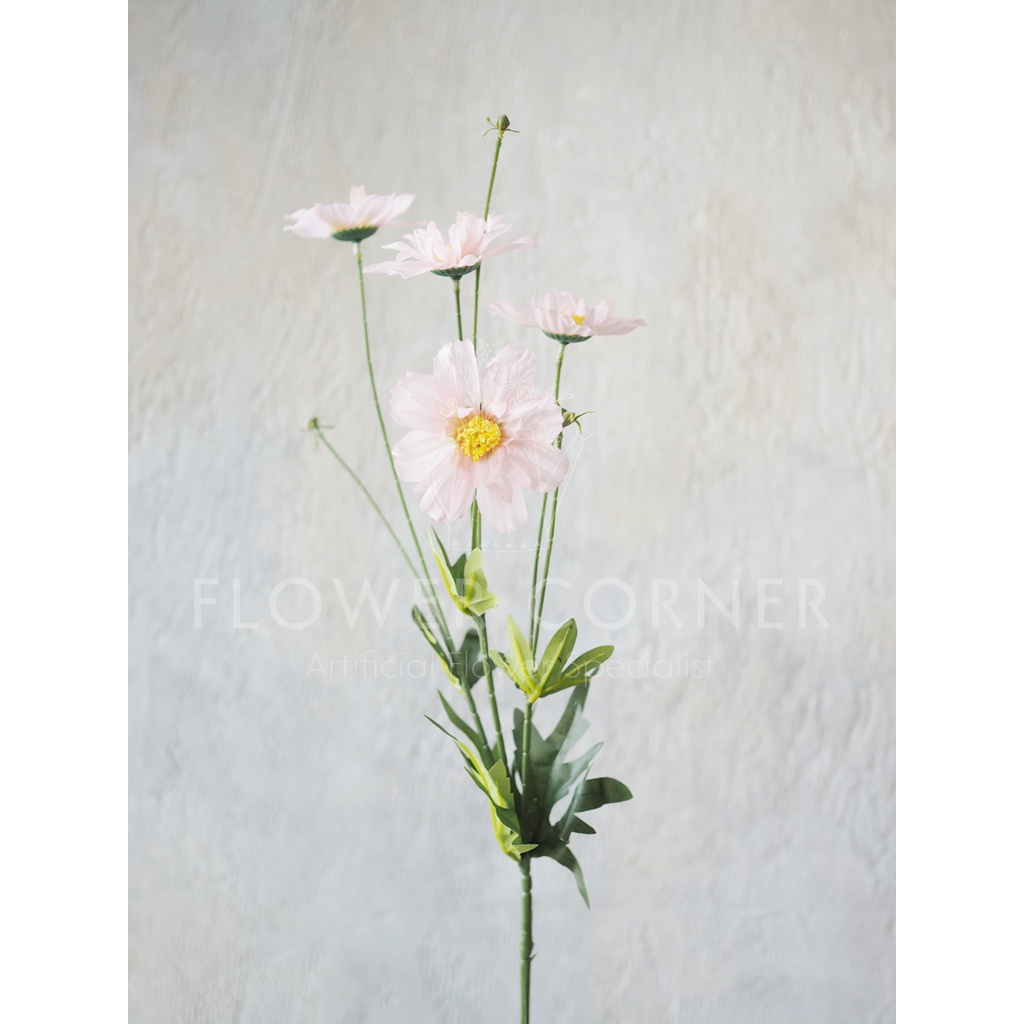 Jual Bunga Artificial Cosmos Spray Tangkai Panjang (B22098)/(B23078 ...