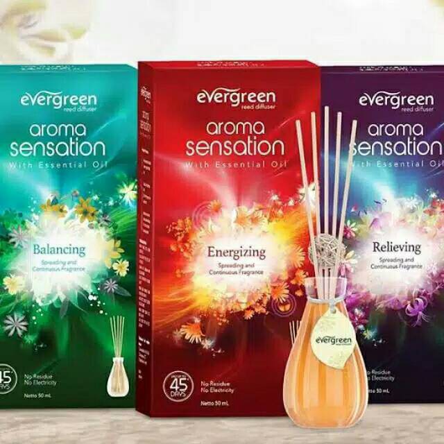 Jual EVERGREEN REED DIFFUSER AROMA SENSATION AROMA THERAPY 50ML ...
