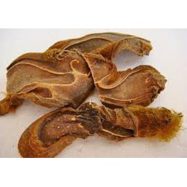 Jual 10 G 50 GR 100 GRAM JIN MAO GOU JI CIBOT CIBOTIUM RHIZOME | Shopee ...