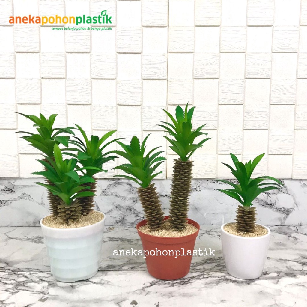 Jual Pohon Hias Mini Kurma Latex Artificial Pot Ulir Terracotta ...