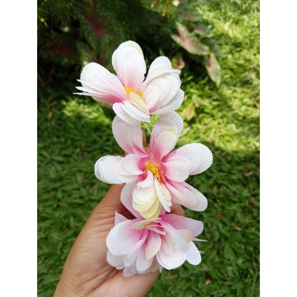 Jual Semanggi/bunga semanggi/bali/semanggi sakura | Shopee Indonesia