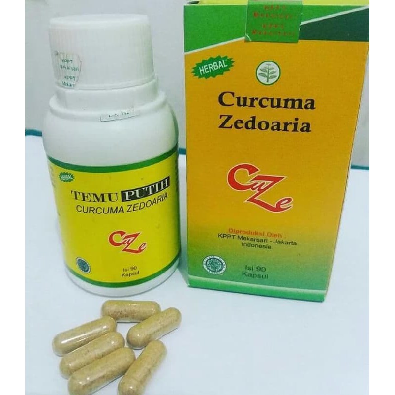 Jual Curcuma Zedoaria Obat Tumor Kanker ekstak Temu putih Kunyit Putih ...