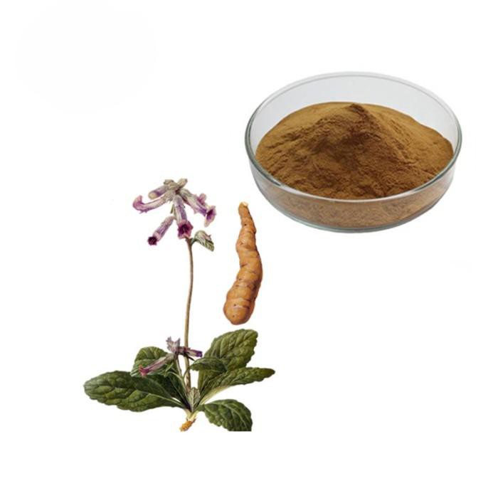 Jual RADIX REHMANNIAE EXTRACT POWDER AKAR REHMANNIAE BUBUK 50GR ...