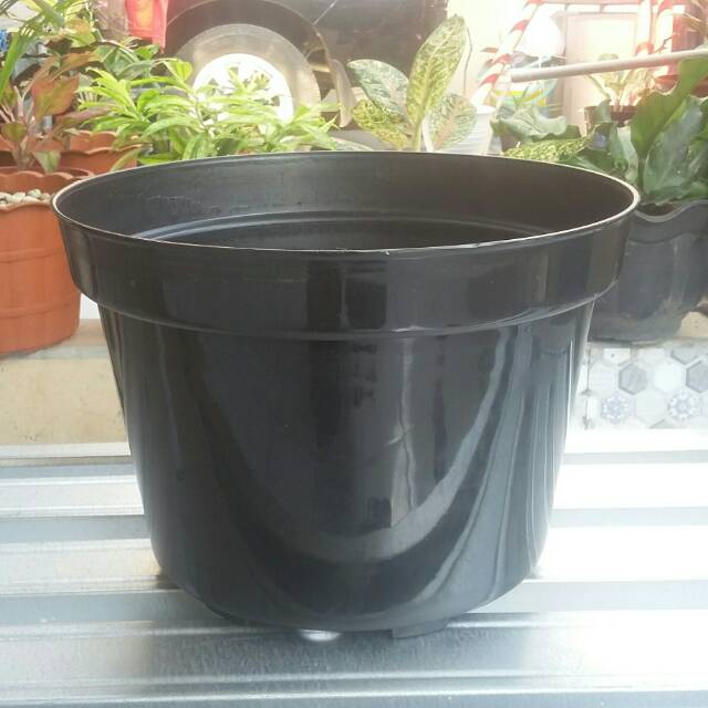 Jual Pot Bunga 30cm SIMBA Pot Tanaman Plastik Hitam 30 cm | Shopee ...