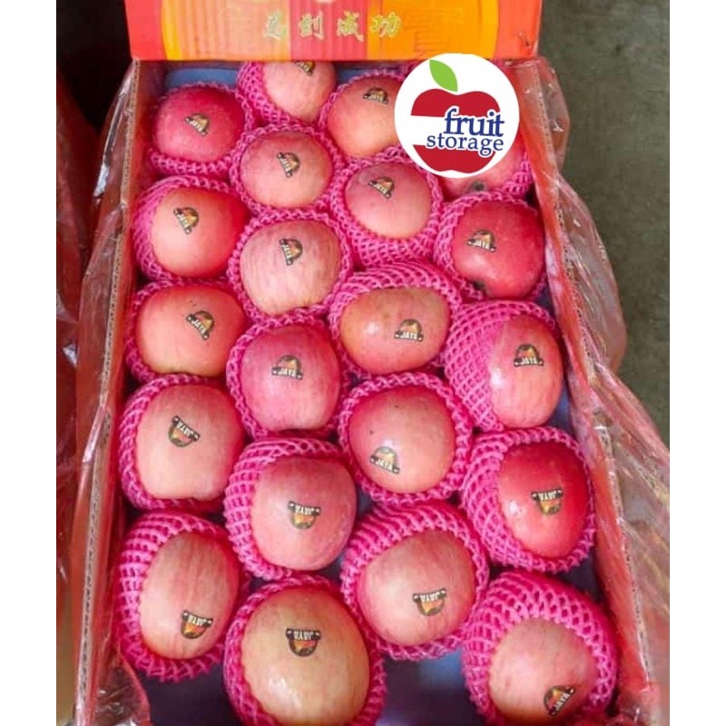 Jual Apel Fuji 1kg Import segar manis garing buah apple impor | Shopee ...