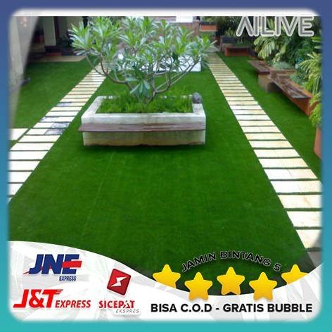 Jual Karpet Rumput Sintetis Palsu Artificial Swiss Grass 35 Mm Ukuran ...
