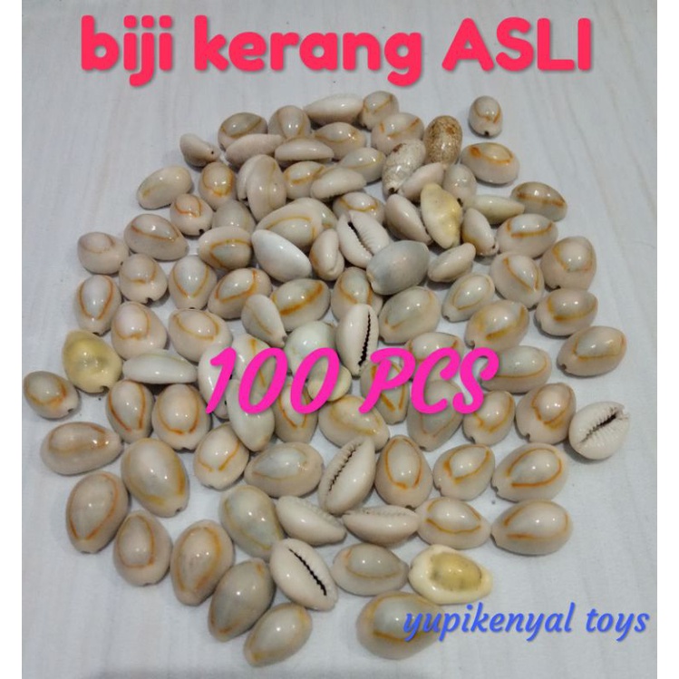 Jual BIJI KERANG ASLI 100 PCS BIJI CONGKLAK KERANG ASLI | Shopee Indonesia