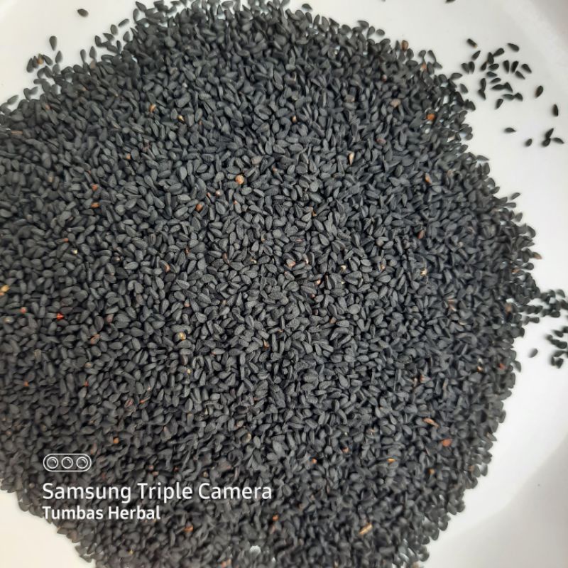 Jual 100 gr Biji jinten hitam habbatussaudah premium / black cumin seed ...
