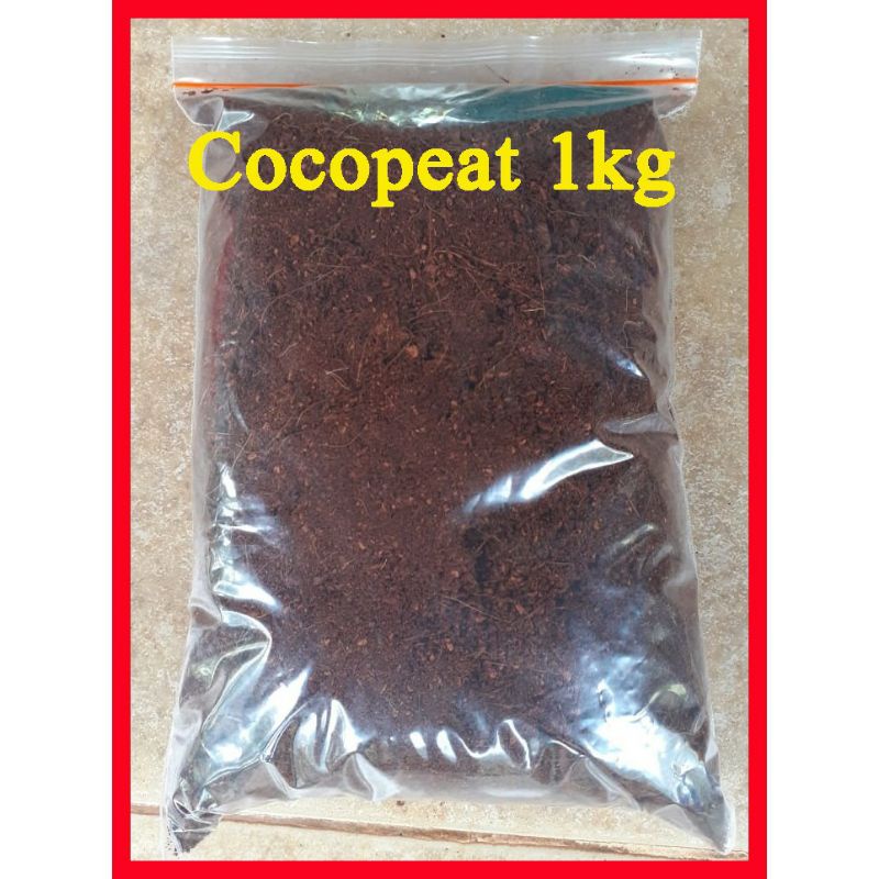 Jual media tanam cocopit/campuran media tanam cocopeat | Shopee Indonesia
