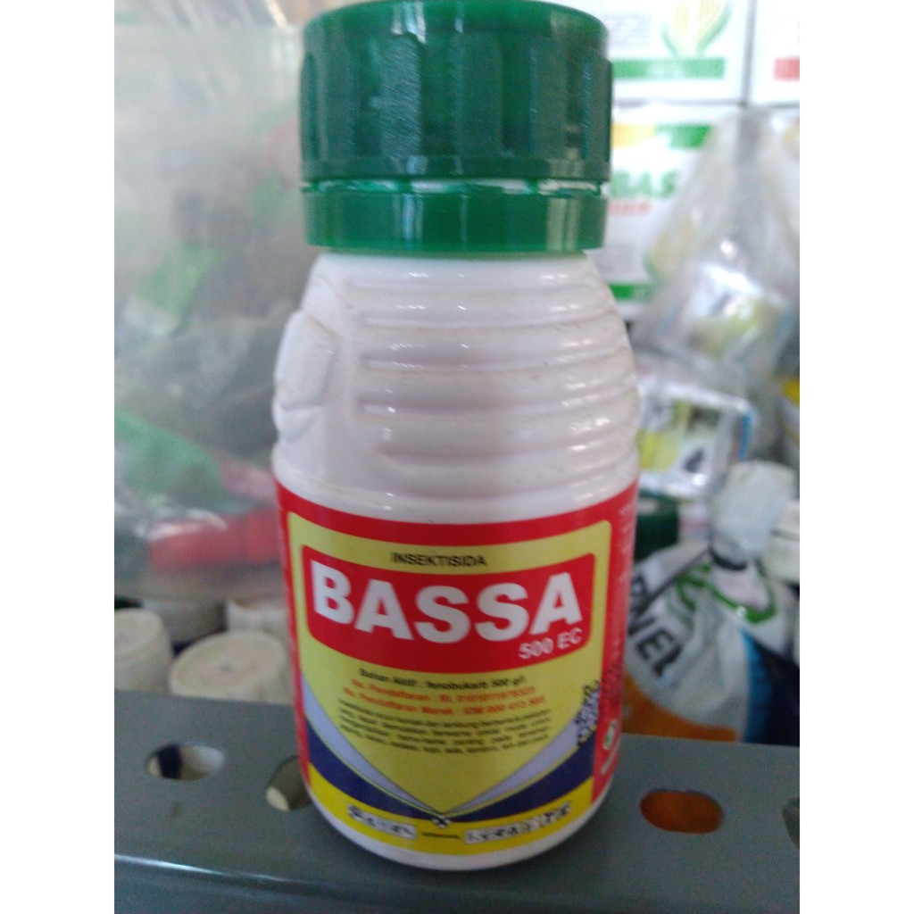 Jual Bassa 100 ml | Shopee Indonesia