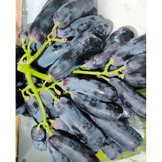Jual Anggur Sweet Sapphire Moondrop Seedless Pack Mika 500gr | Shopee ...