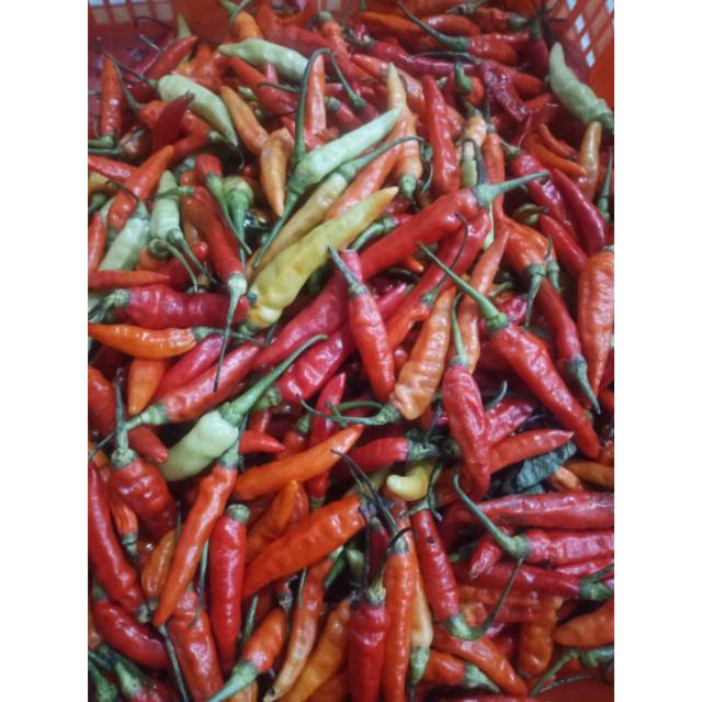 Jual Cabe burung 100gr | Shopee Indonesia