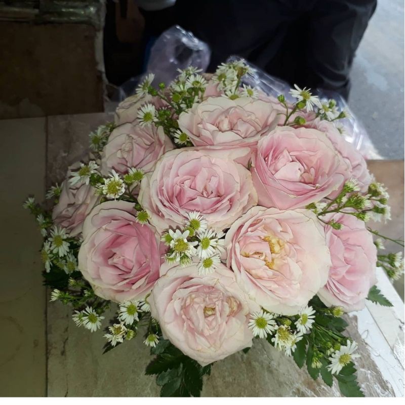 Jual Bunga segar meja/table/Bunga rose pink soft/Bunga pikok | Shopee ...