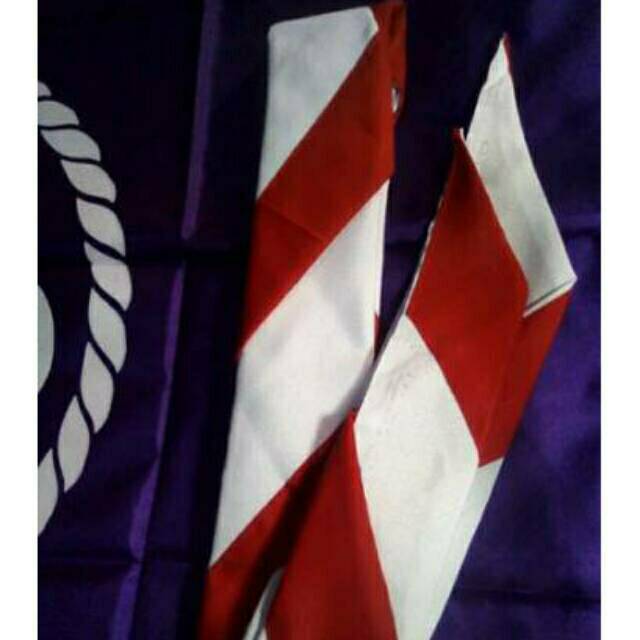 Jual Hasduk pramuka jumbo-hasduk pembina katun | Shopee Indonesia