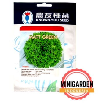 Jual SELADA MATT GREEN 20 GRAM PACK BESAR benih biji bibit selada keriting hijau f1 hibrida ...