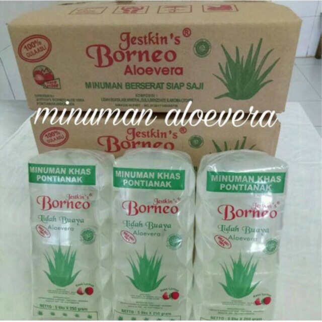Jual Minuman Lidah Buaya Aloe Vera Khas Pontianak Gula Asli 100% | Shopee Indonesia