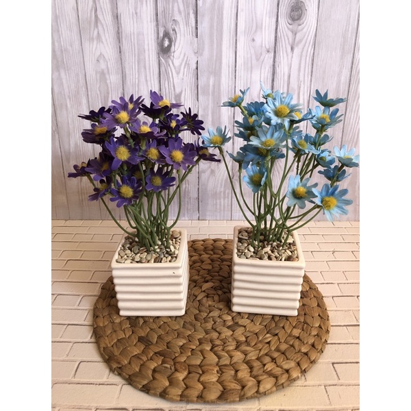 Jual Bunga Daisy plastik/Artificial+Pot keramik || REAL PICTURE ...