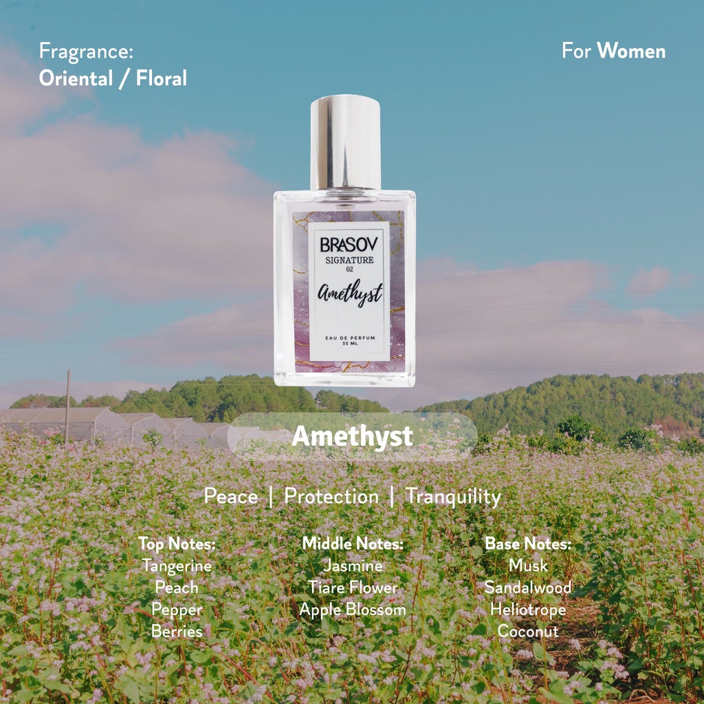 Jual BRASOV SIGNATURE EDP Eau De Parfume - 35 ml | Shopee Indonesia