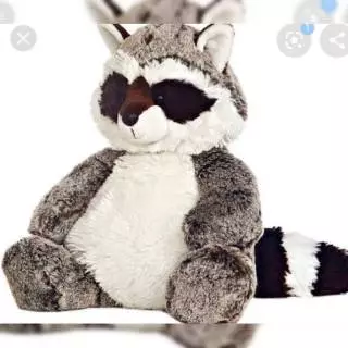 Jual boneka rakun Harga Terbaik & Termurah Juli 2024 | Shopee Indonesia