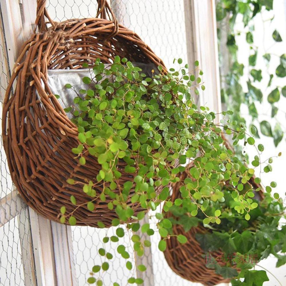 Jual Keranjang Rotan Gantung - Vas Tempel ROTAN ASLI - Dekorasi Dinding ...