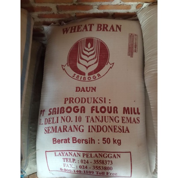 Jual WHEAT BRAN DEDAK GANDUM KOMBOR SAPI KAMBING KEMASAN 500gr | Shopee ...