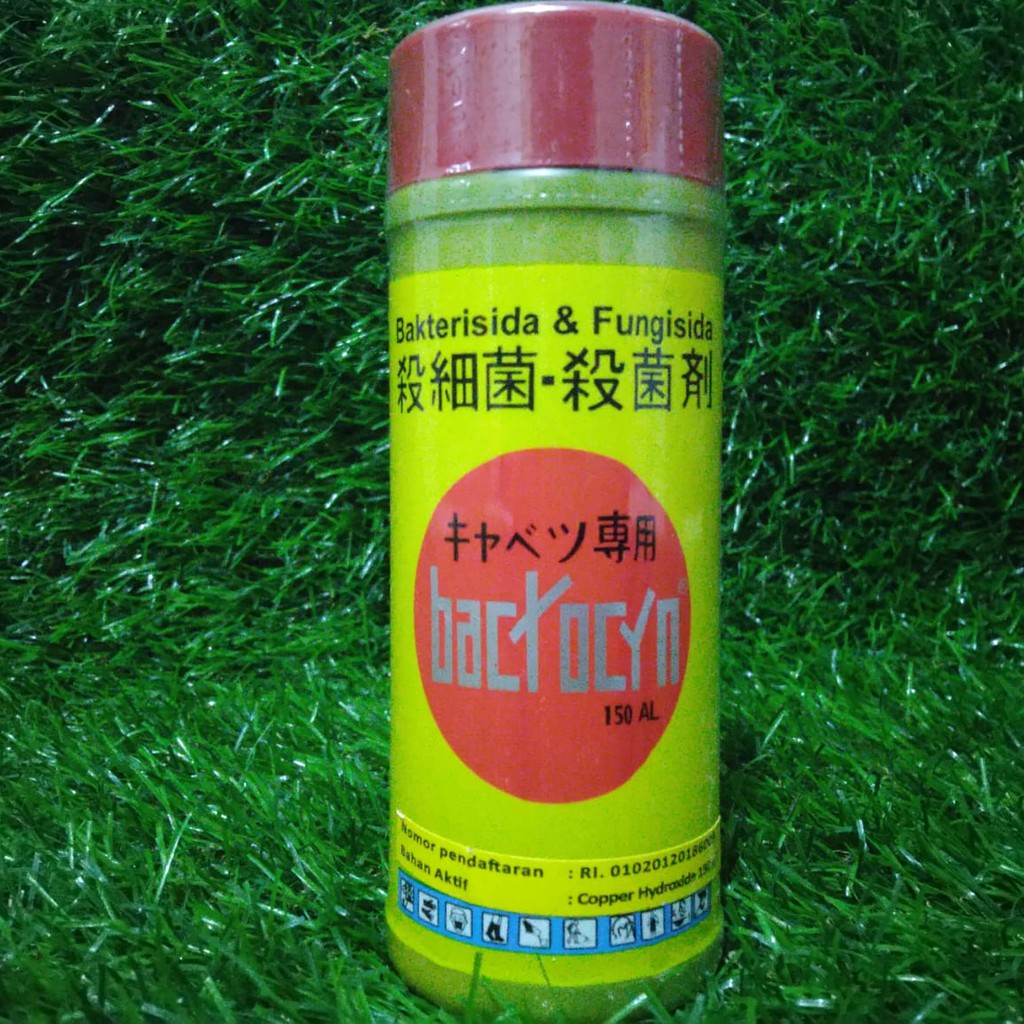 Jual BACTOCYN 200 ml Bakterisida/fungisida/ | Shopee Indonesia