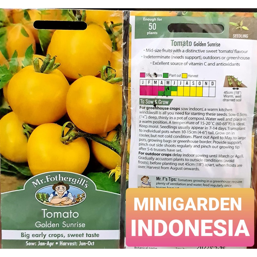 Jual BENIH TOMAT CHERRY KUNING GOLDEN SUNRISE PACK 75 BIJI bibit sayur buah tomat mini kuning ...