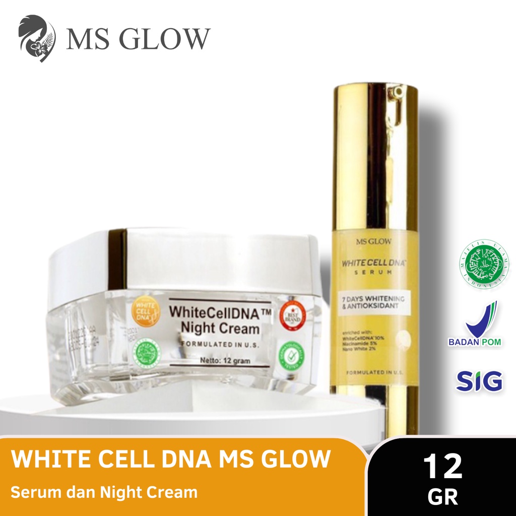 Jual (FREE GIFT) MS GLOW WHITE CELL DNA ORIGINAL | NIGHT CREAM WHITE ...