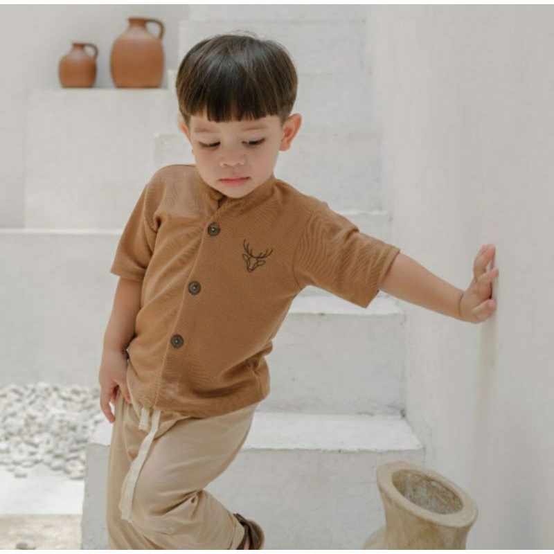 Jual Baju Kemeja Anak Lotus | Shopee Indonesia