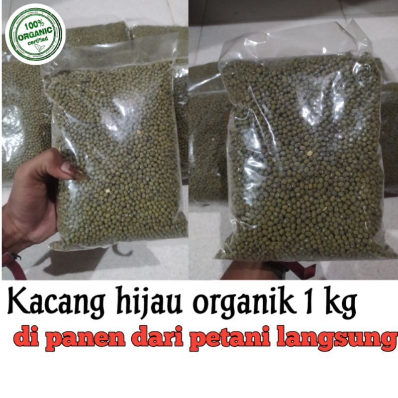 Jual kacang hijau organik 1 kg | Shopee Indonesia