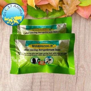 Jual Obat cacing bolus sapi kerbau spektrum luas WORMZOL-B WORMZOL B ...