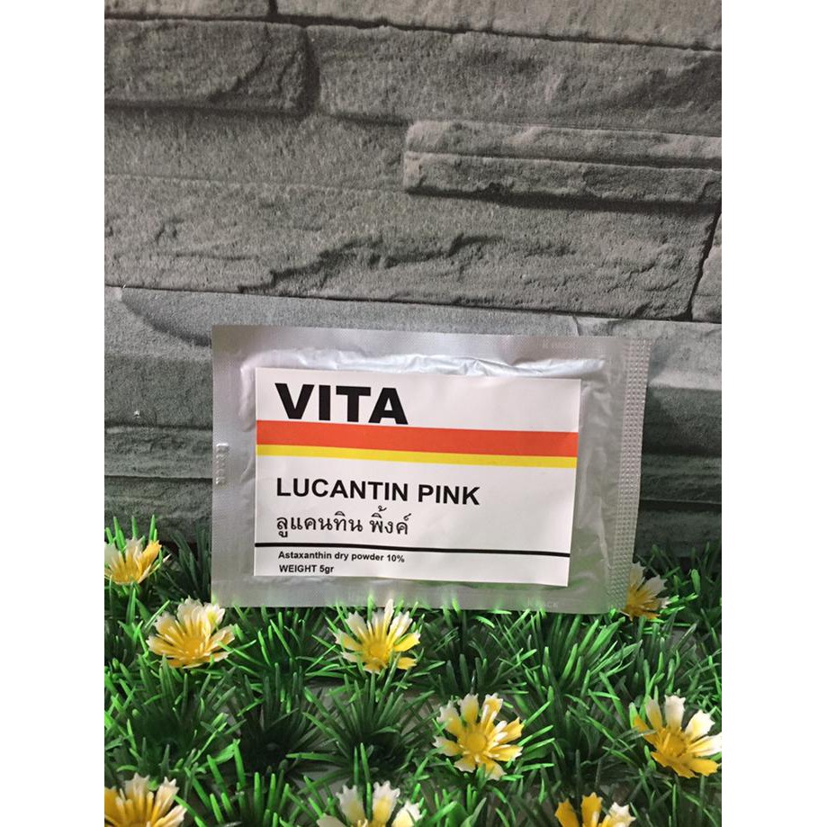 Jual Vita lucantin pink 5g | Shopee Indonesia