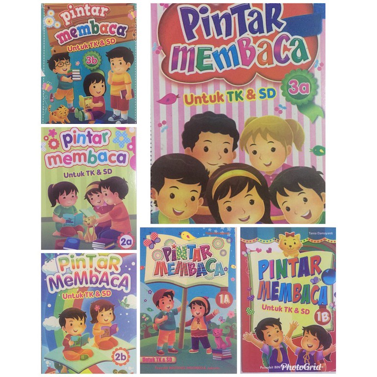 Jual Buku Anak Pintar Membaca 1a 1b 2a 2b 3a 3b untuk TK & SD Kelas 1 ...