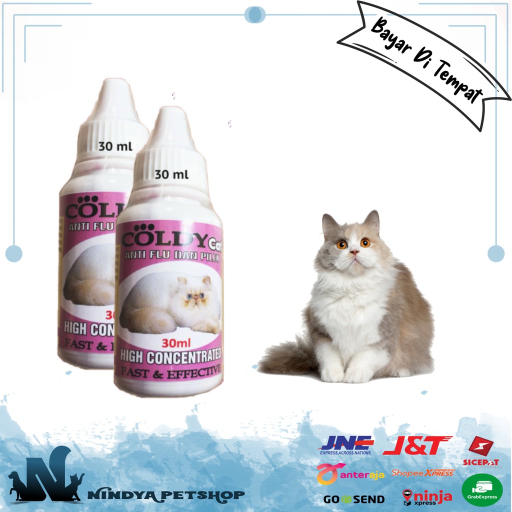 Jual COLDY 30ml - OBAT FLU KUCING PILEK BERSIN BERSIN | Shopee Indonesia