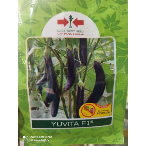 Jual BENIH TERONG YUVITA F1 CAP PANAH MERAH | Shopee Indonesia