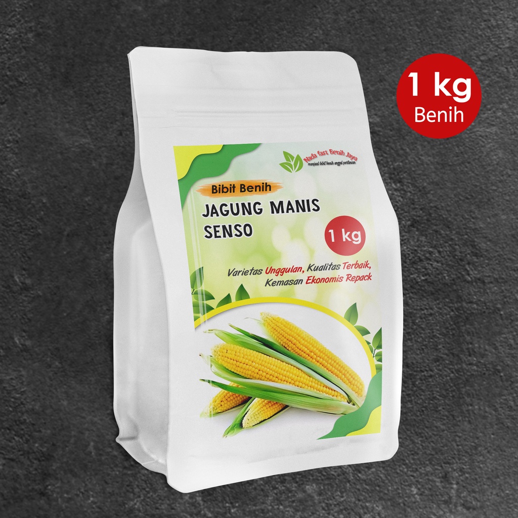 Jual 1 Kg Benih jagung manis senso super / bibit jagung manis | Shopee ...