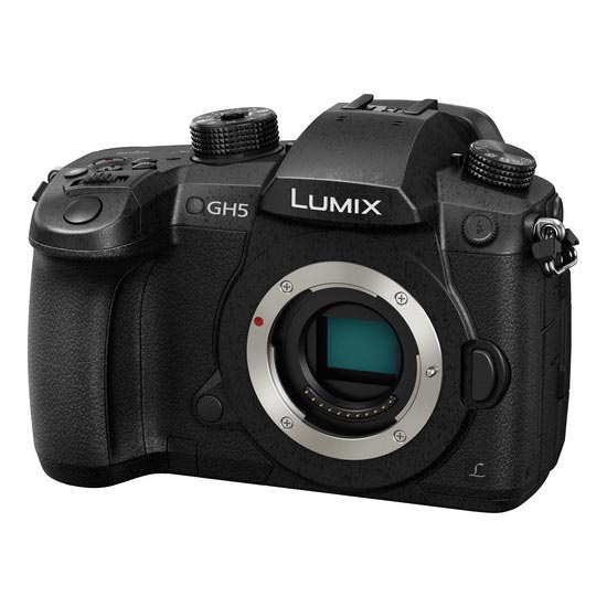 Jual Panasonic Lumix GH5 Body Only | Shopee Indonesia