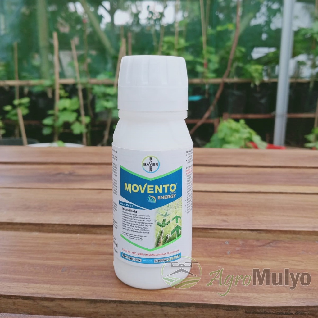 Jual Insektisida MOVENTO ENERGY 240 SC Ukuran 100ml Bayer | Shopee ...