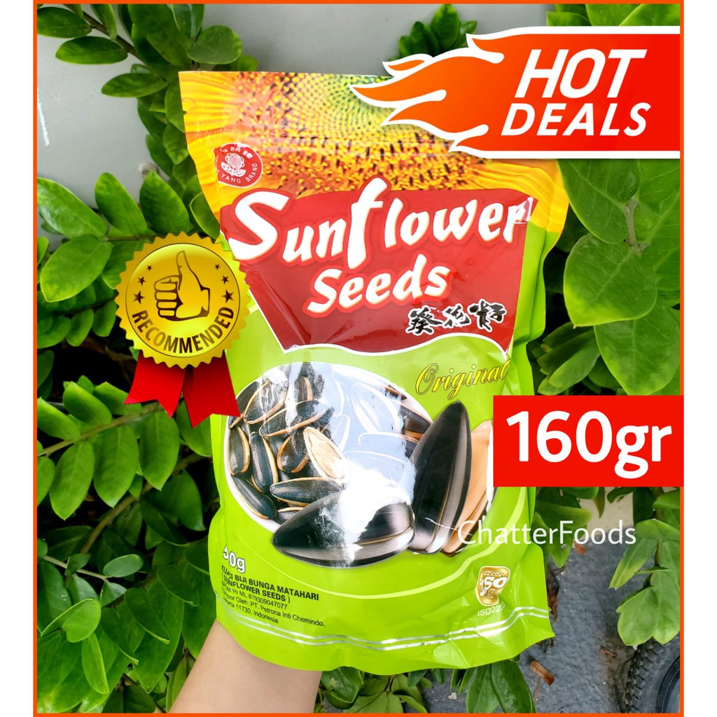 Jual Kuaci Bunga Matahari 160gr Kwaci Biji Bunga Matahari Sunflower