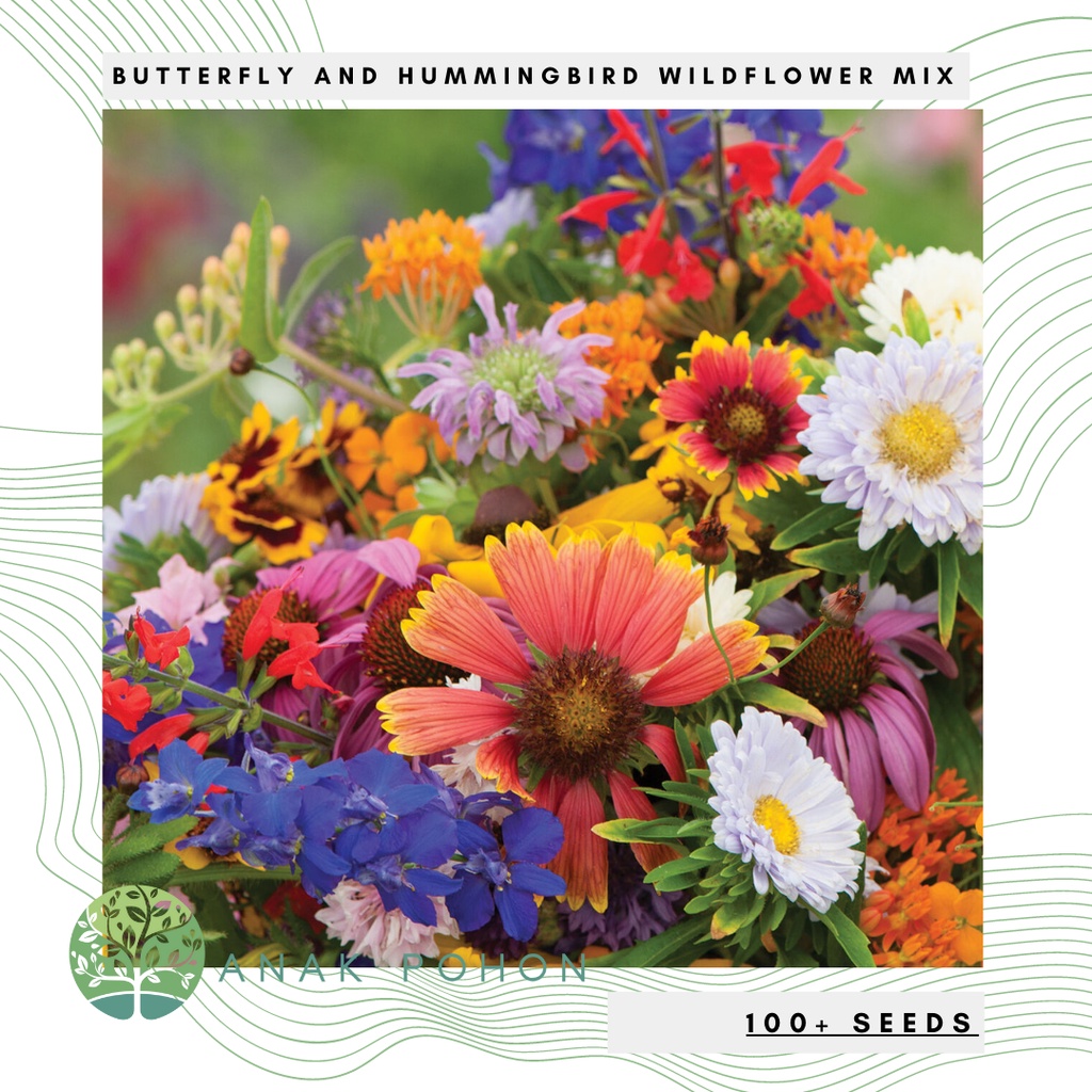 Jual Paket Benih Bunga Butterfly and Hummingbird Wildflower Mix Seeds ...