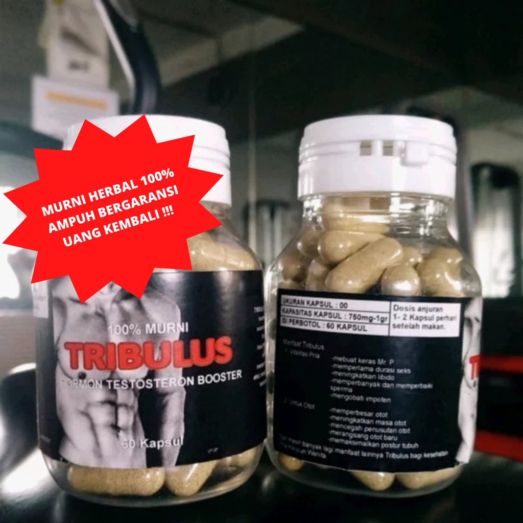 Jual TRIBULUS HORMON TESTOSTERON | Shopee Indonesia