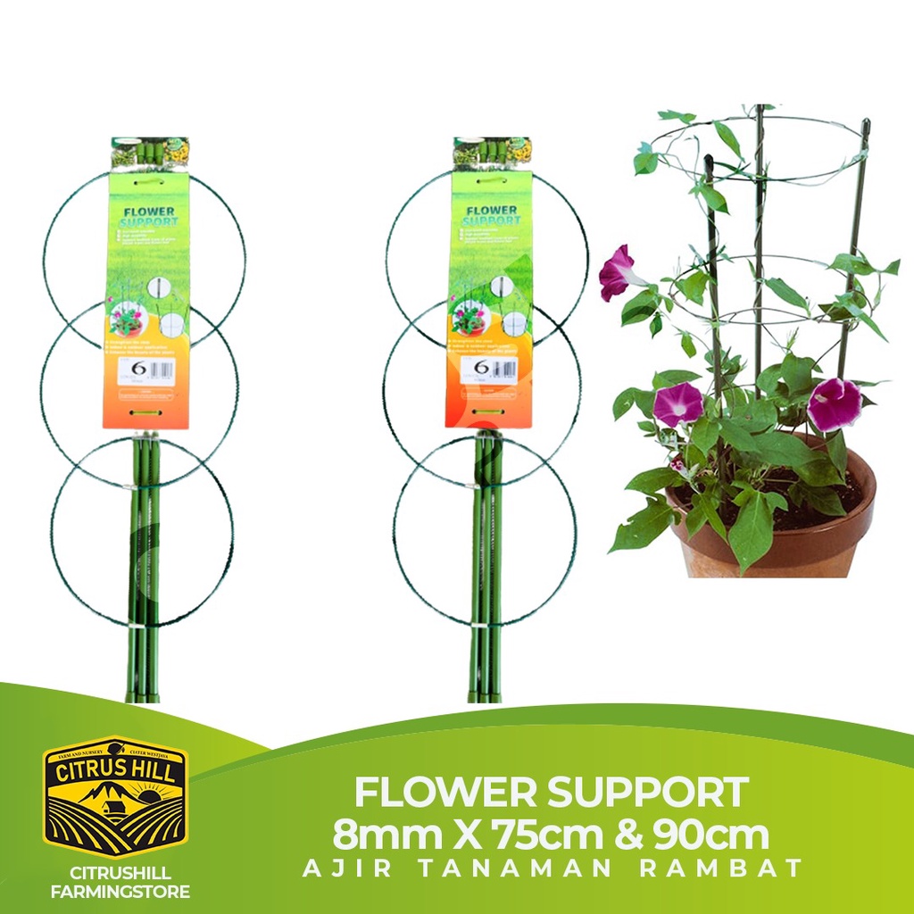 Jual AJIR MODERN TANAMAN RAMBAT - TAKIRON FLOWER SUPPORT WIRE PLANT ...